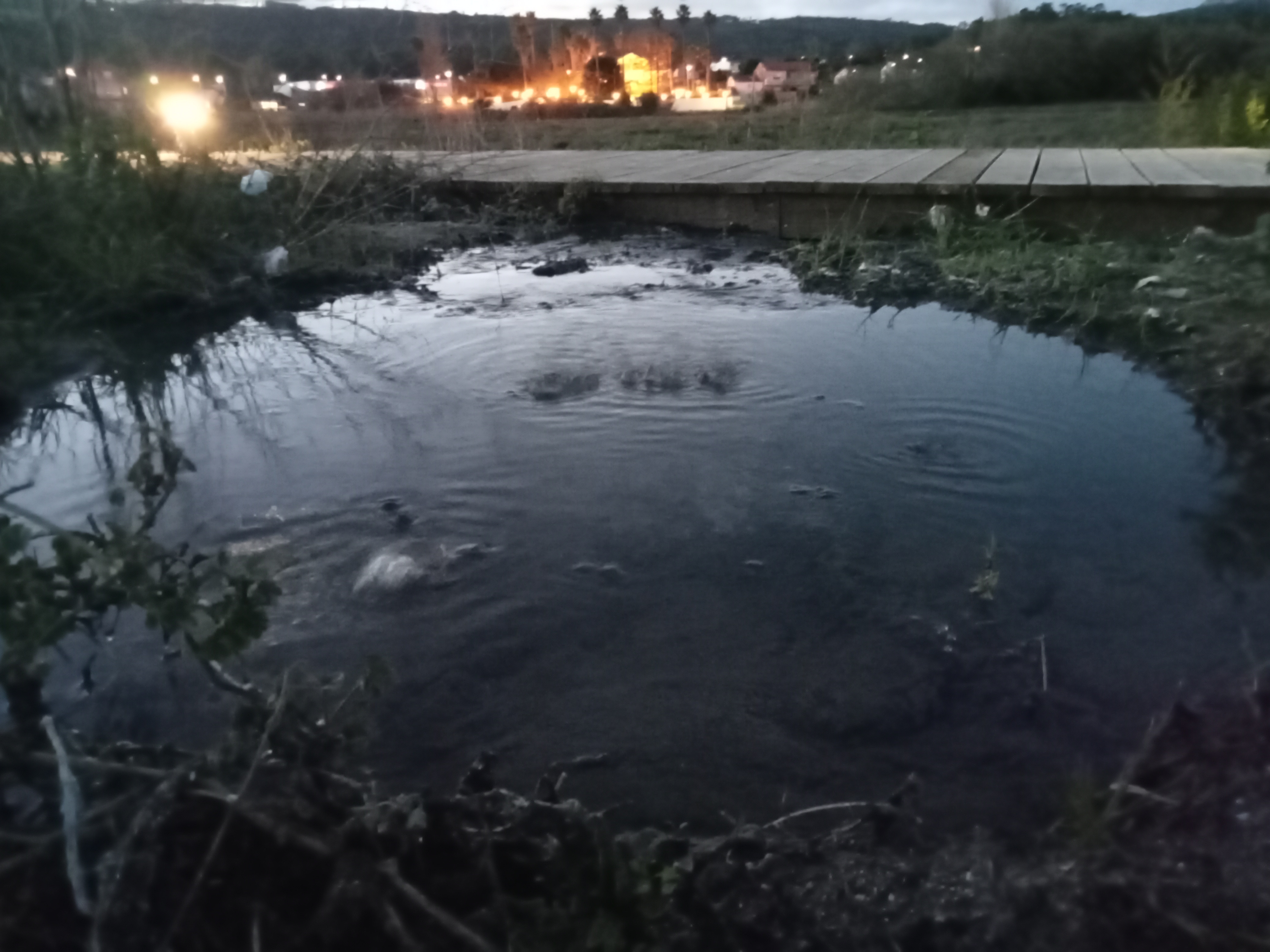 Advierten de un vertido de aguas residuales en un entorno próximo al ... Advierten de un vertido de aguas residuales en un entorno próximo al ...